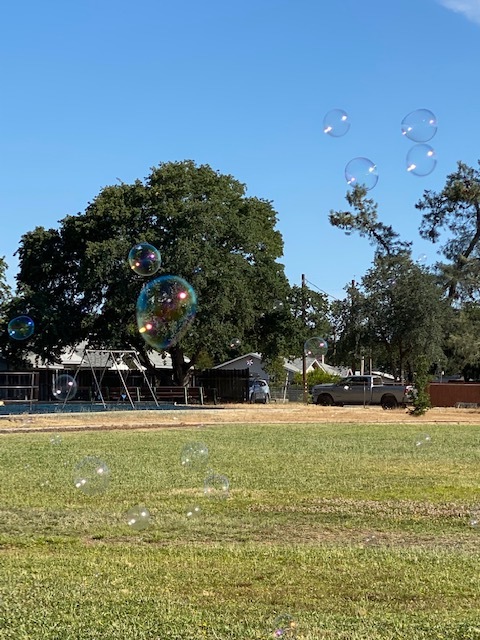 Helen Wilcox Elementary